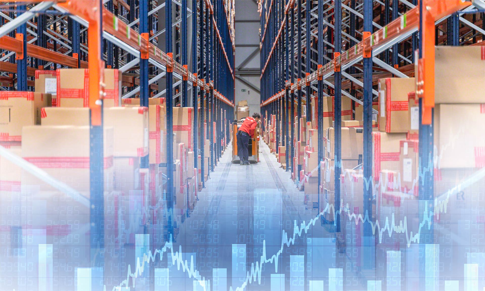 Die Fachkraft für Lagerwirtschaft: Profil und Funktionen - Mecalux.de