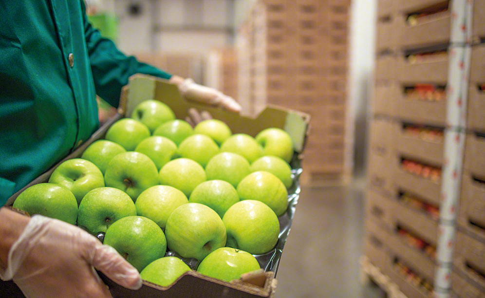 Megafin (3PL): Digitalisierung eines großen Lagers - Mecalux.de